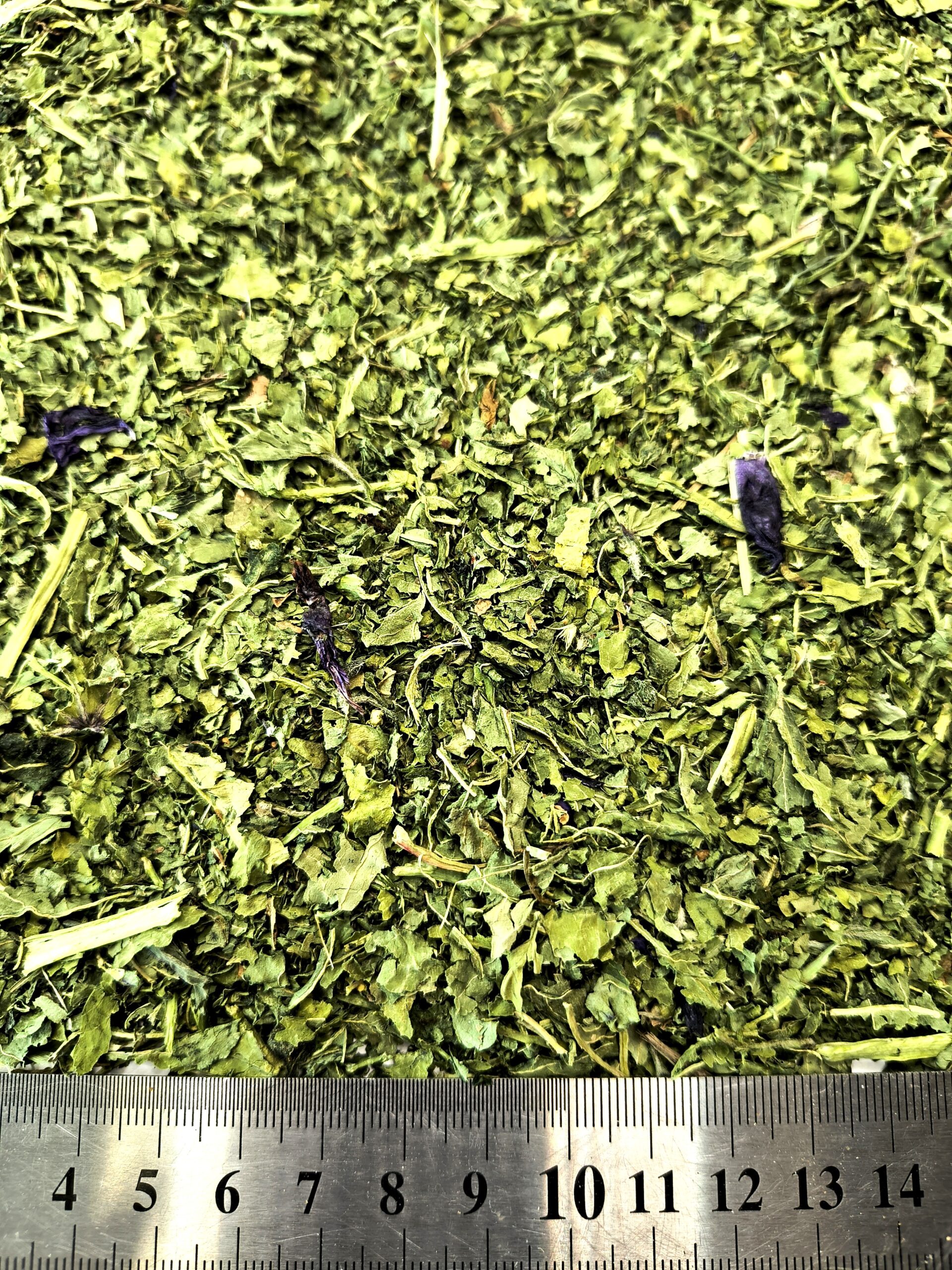 Kassinaeris lehena, Kassinaeriürt, Mets- Kassinaeris, Malva sylvestris ...