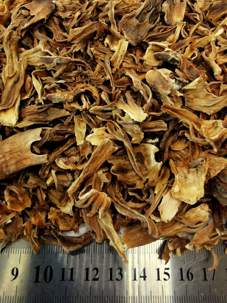 Hibiskus, valge- Hibiscus 250 grammi -Hibiscus rosa-sinensis - Kubja